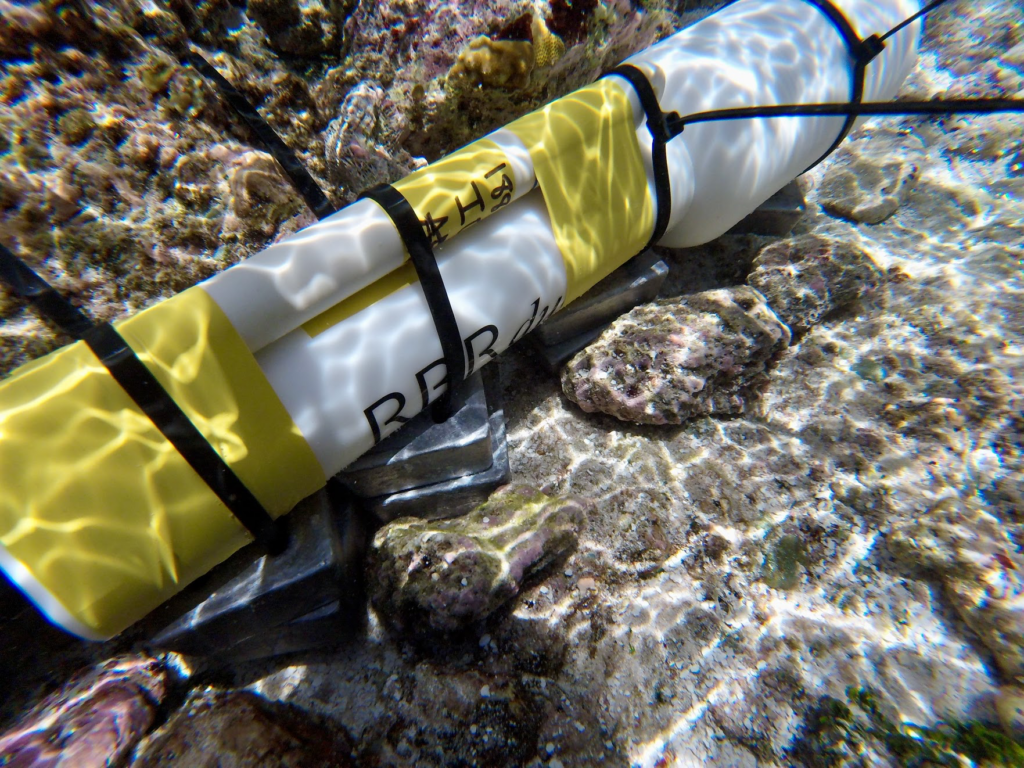 RBRquartz³ Q Bottom Pressure Recorders Resolve Small-Scale Changes