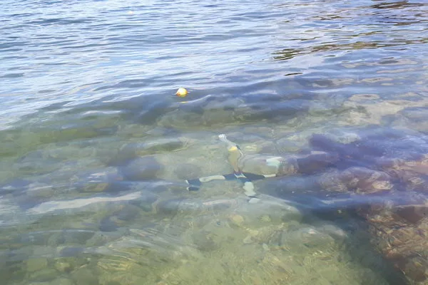 RBRsolo³ D | Depth Loggers research wave transmission